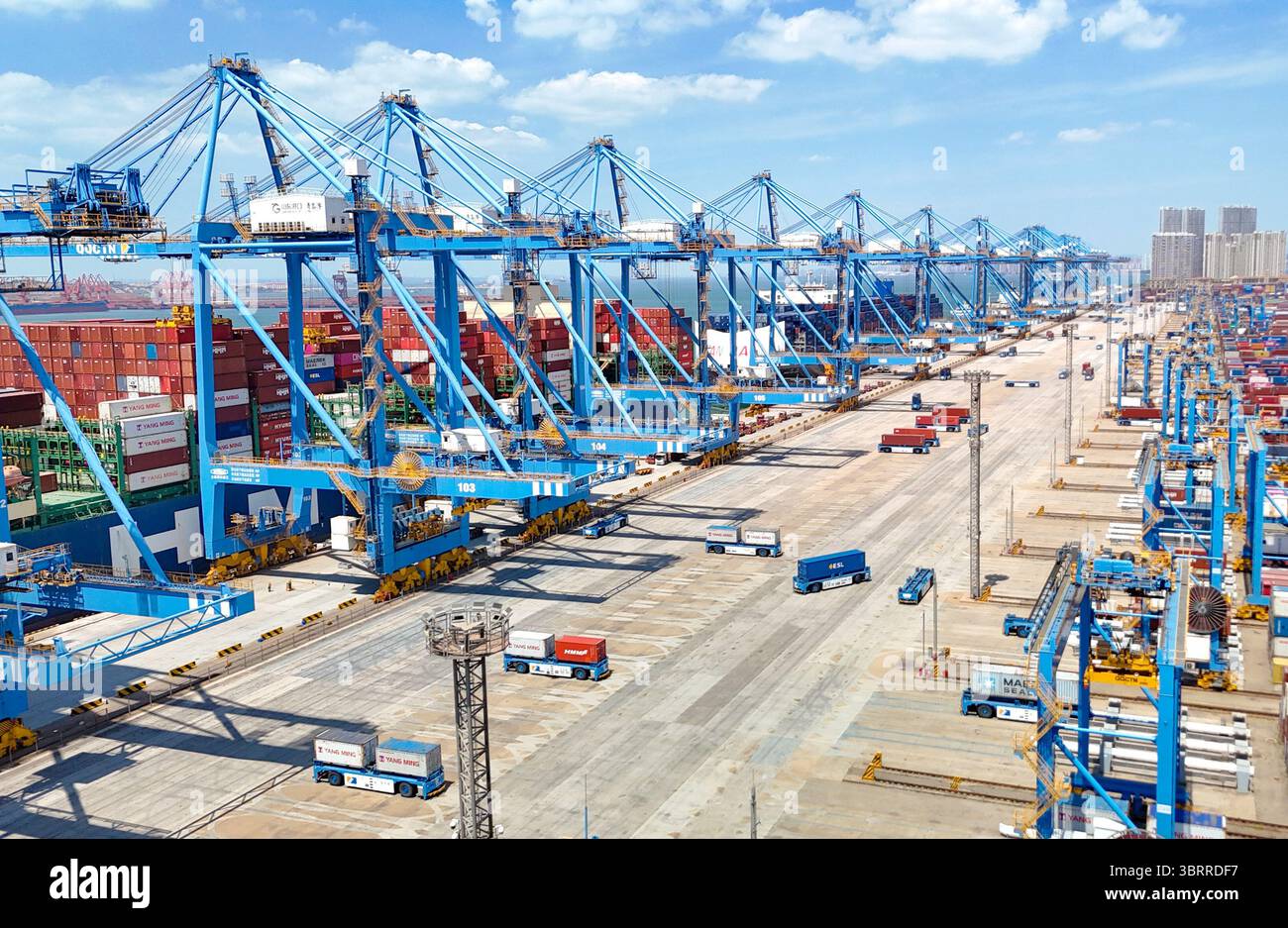Automated guided vehicles are transporting goods at the fully automated terminal of Qingdao Port ...