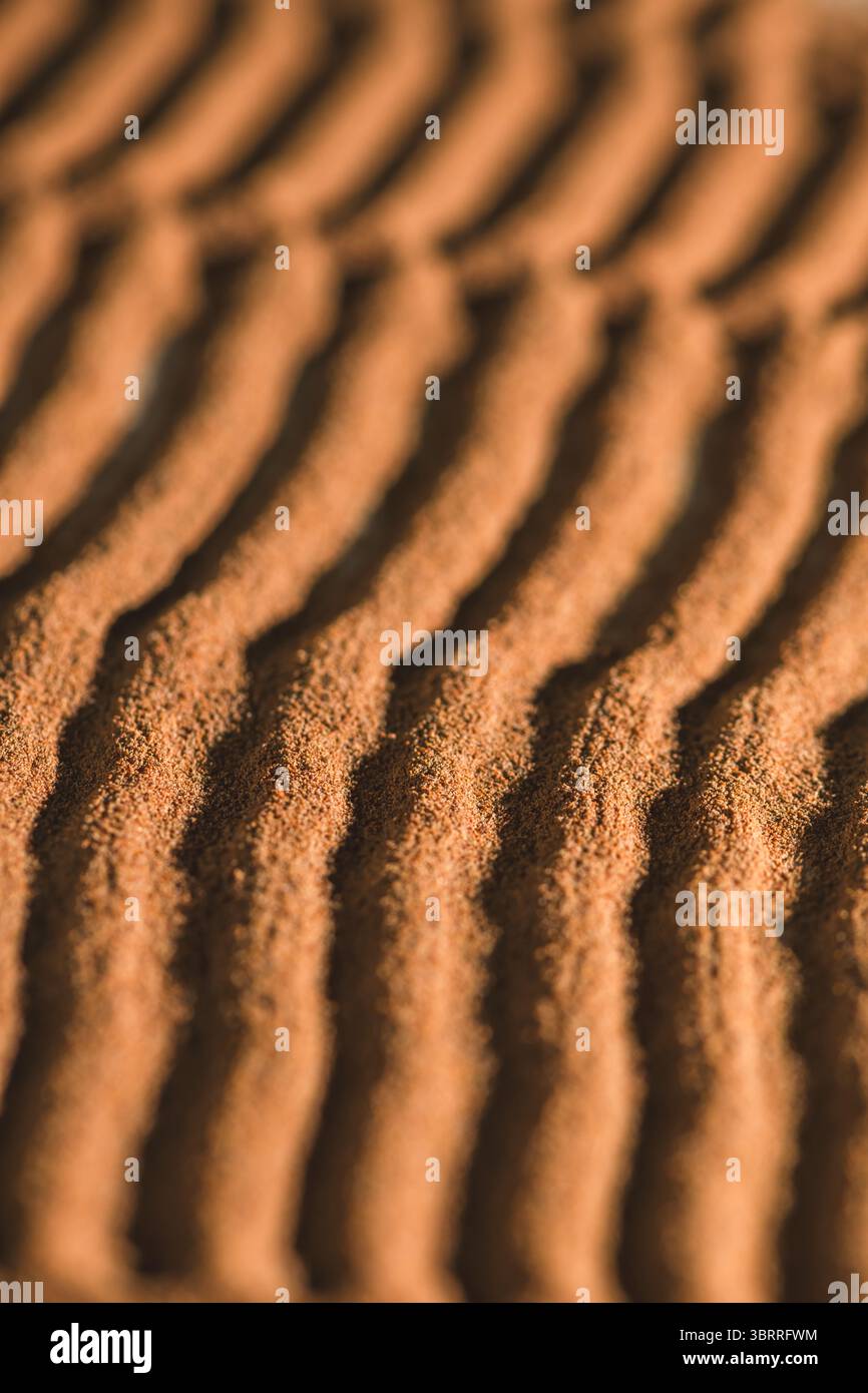 Design highlights organic forms hi-res stock photography and images - Alamy