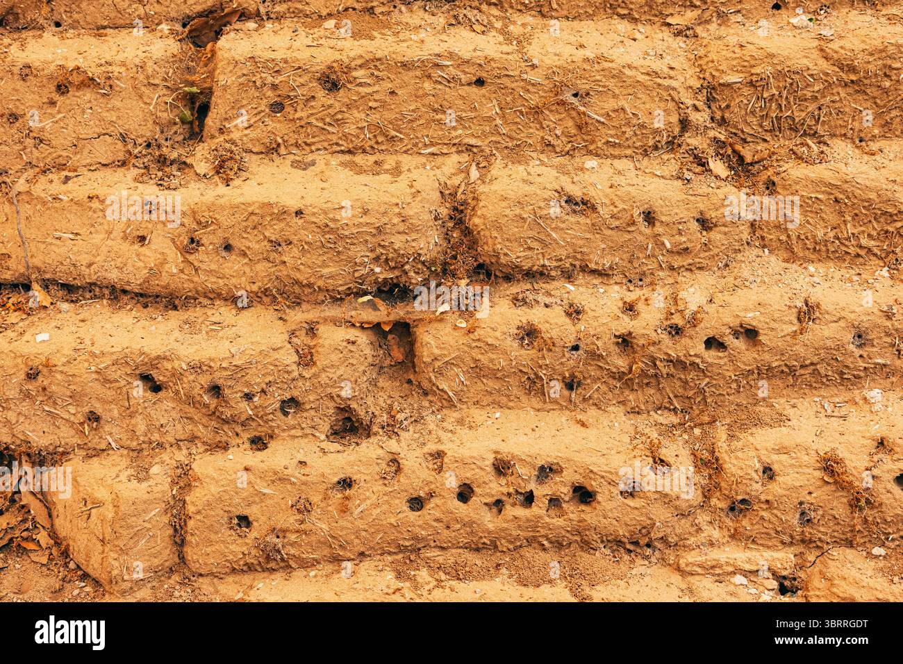 Close up of an aged brick wall, highlighting the texture and ...