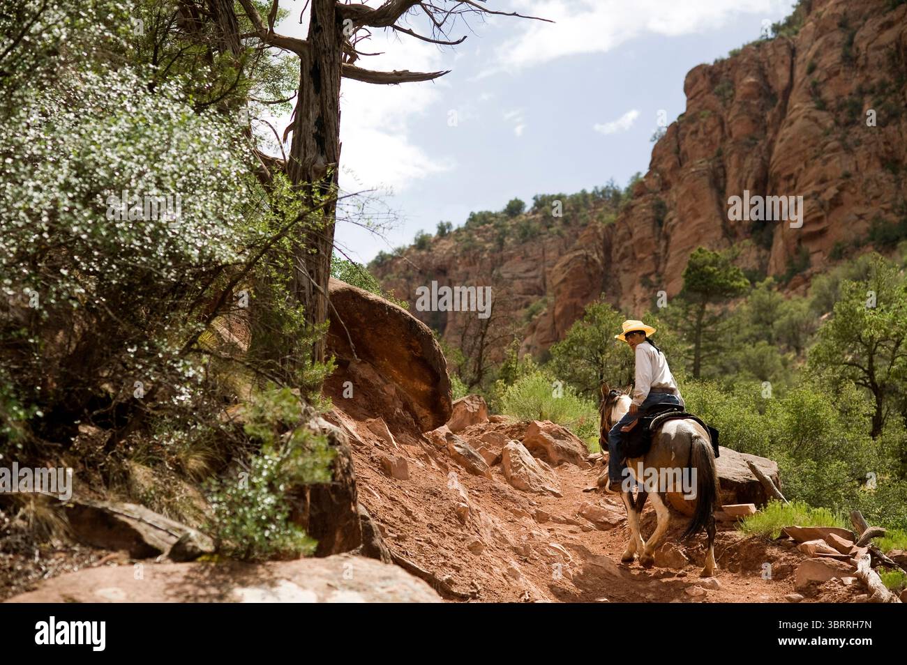 Native American Parks Stock Photo - Alamy