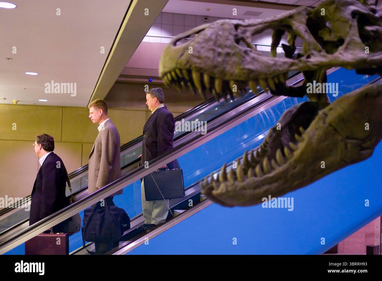 Side view tyrannosaurus rex dinosaur hi-res stock photography and ...