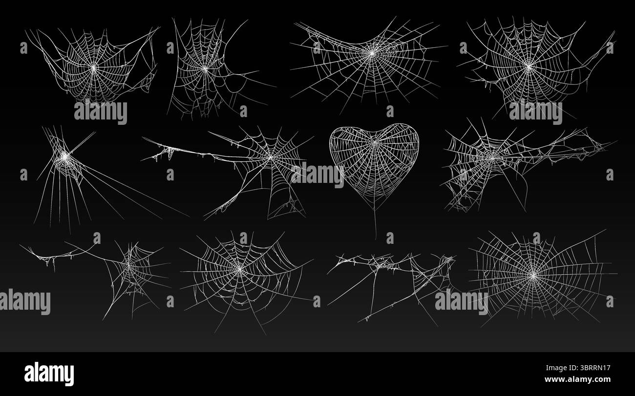 Halloween old spooky cobweb with various sizes and shapes Stock Vector ...