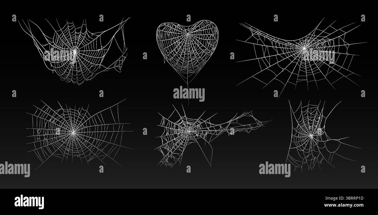 Halloween old spooky cobweb with various sizes and shapes Stock Vector ...