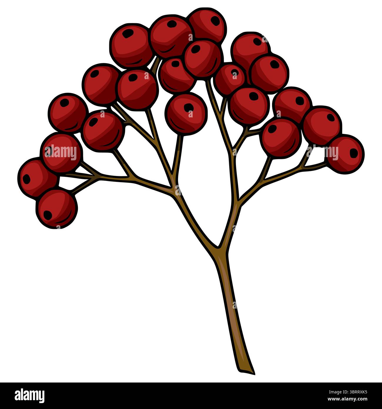 A vector illustration of a stylized branch with clusters of deep red ...