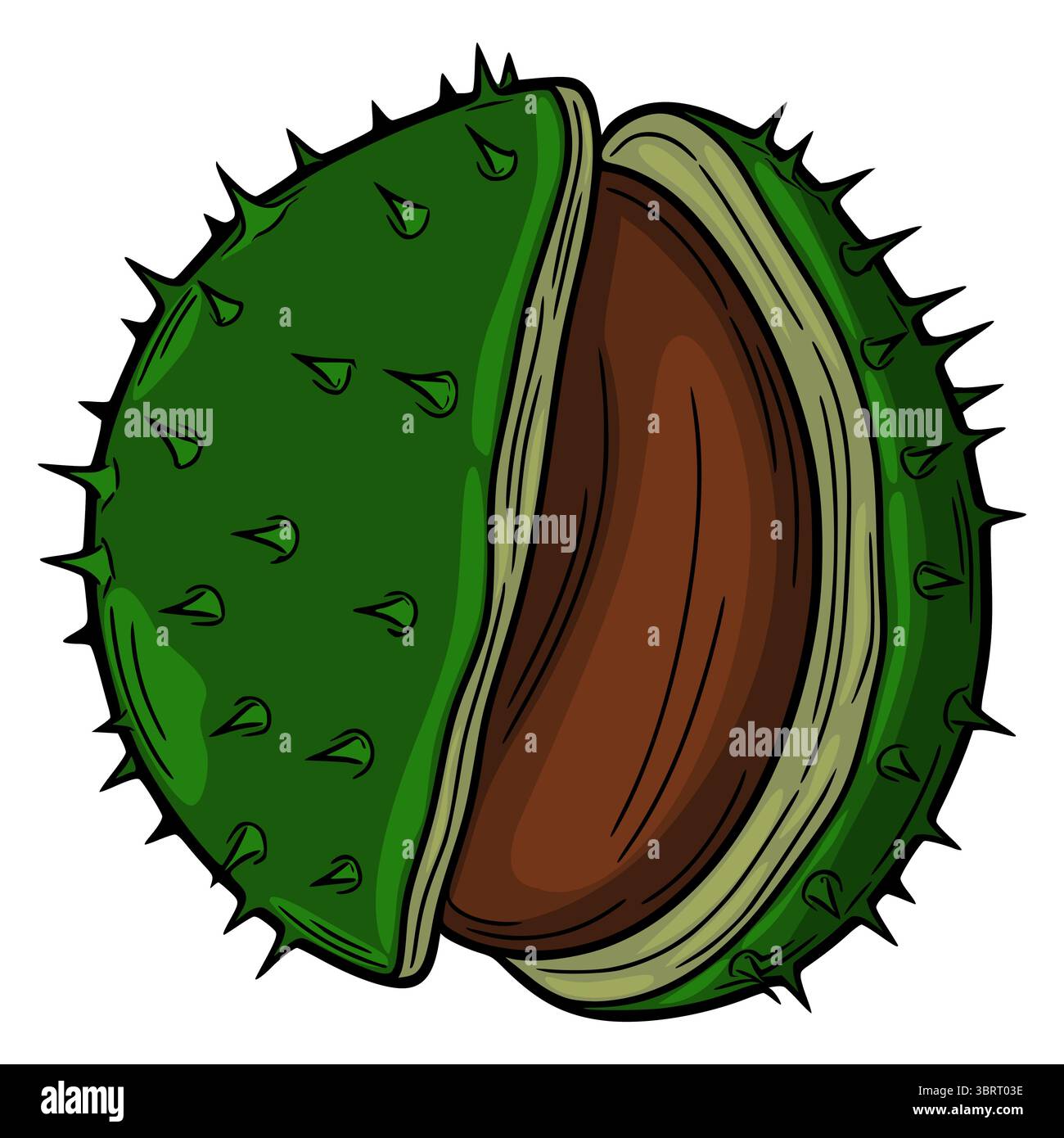 Vector illustration of a stylized chestnut in a burr, showcasing a ...