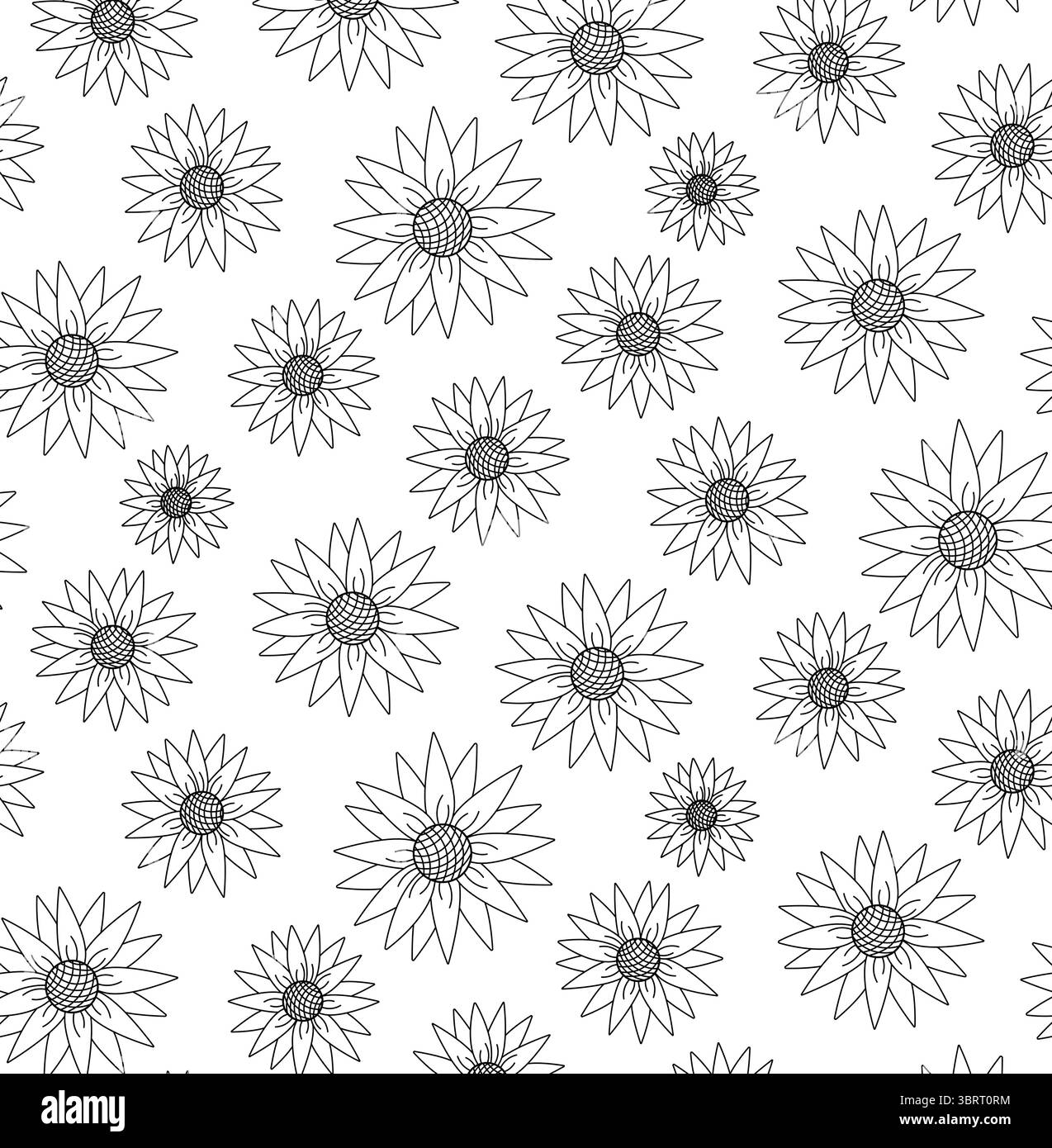 Sunflower hand drawn seamless Black and White Stock Photos & Images - Alamy