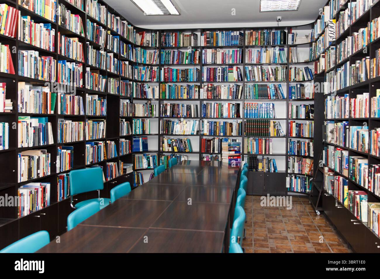 Many colored books lying on shelves in reading room in library ...