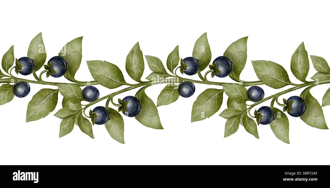 Seamless horizontal border with berry branch and green leaves ...