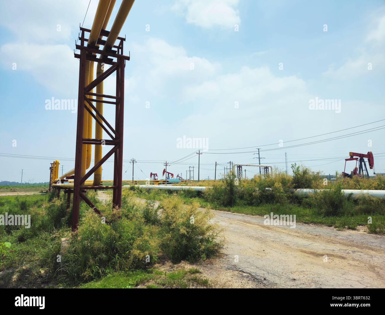 Shengli Oilfield Pipeline and Pumpjack Landscape, Dongying Shandong ...