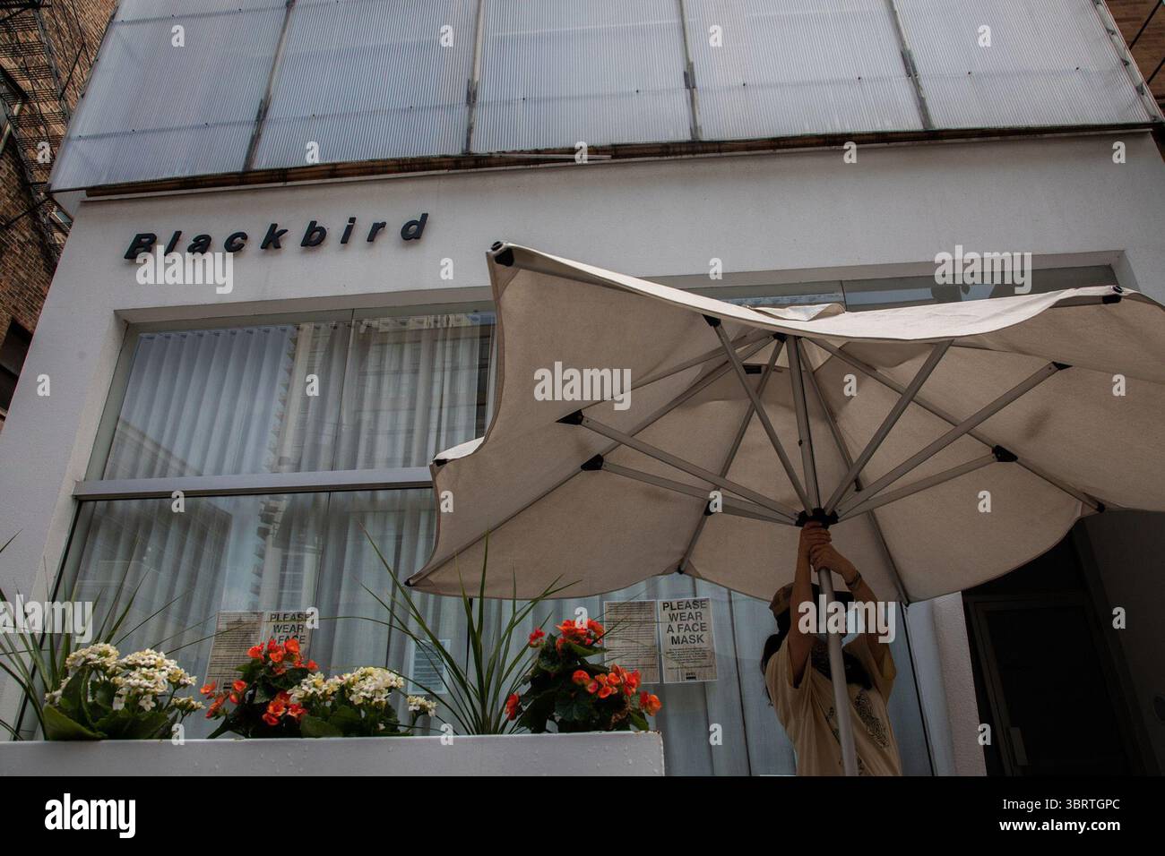 June 29, 2020, Chicago, IL, USA: Blackbird restaurant, shown June 29 ...