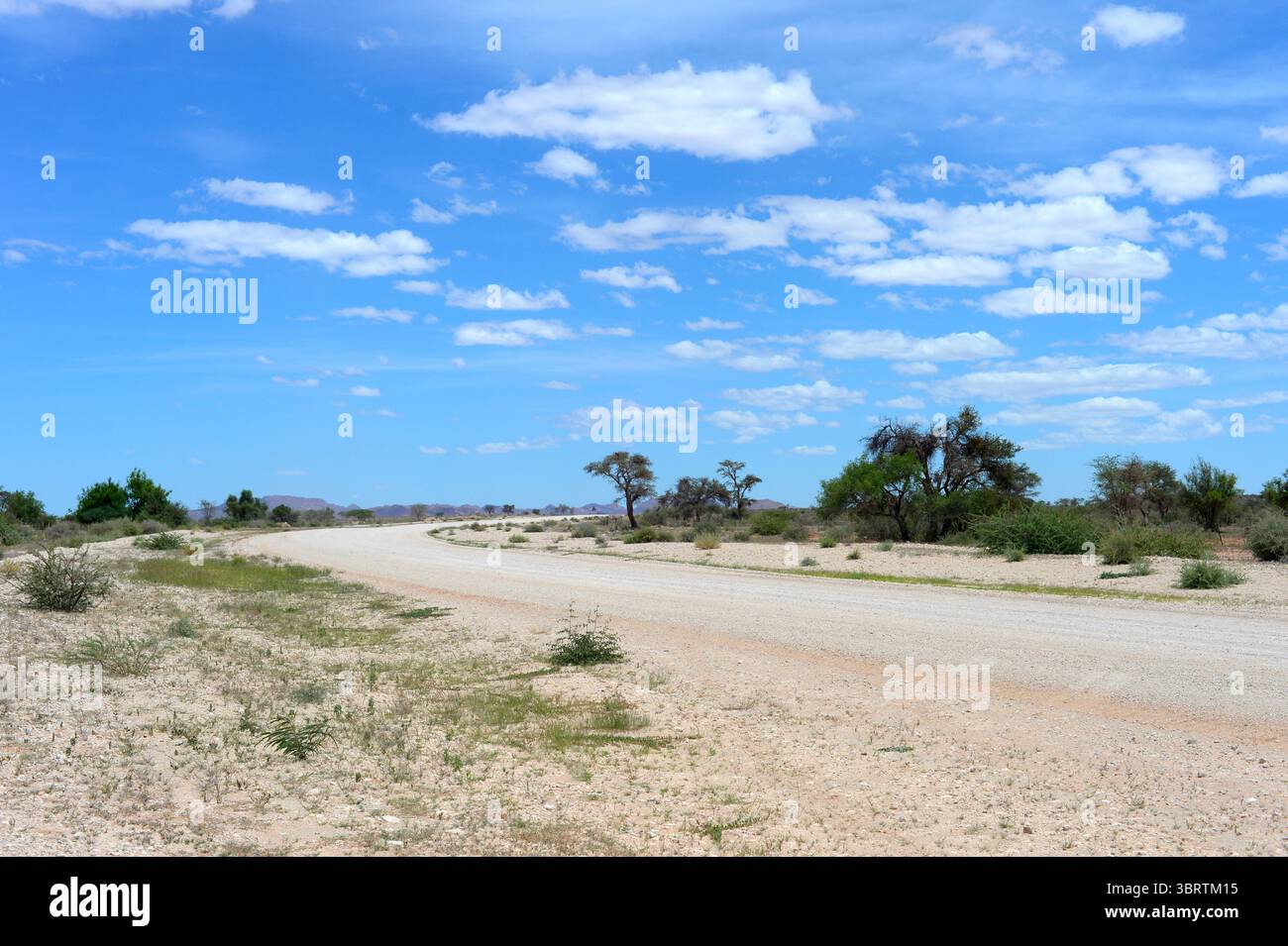 An empty road in the Namibian desert, Namibia Stock Photo - Alamy