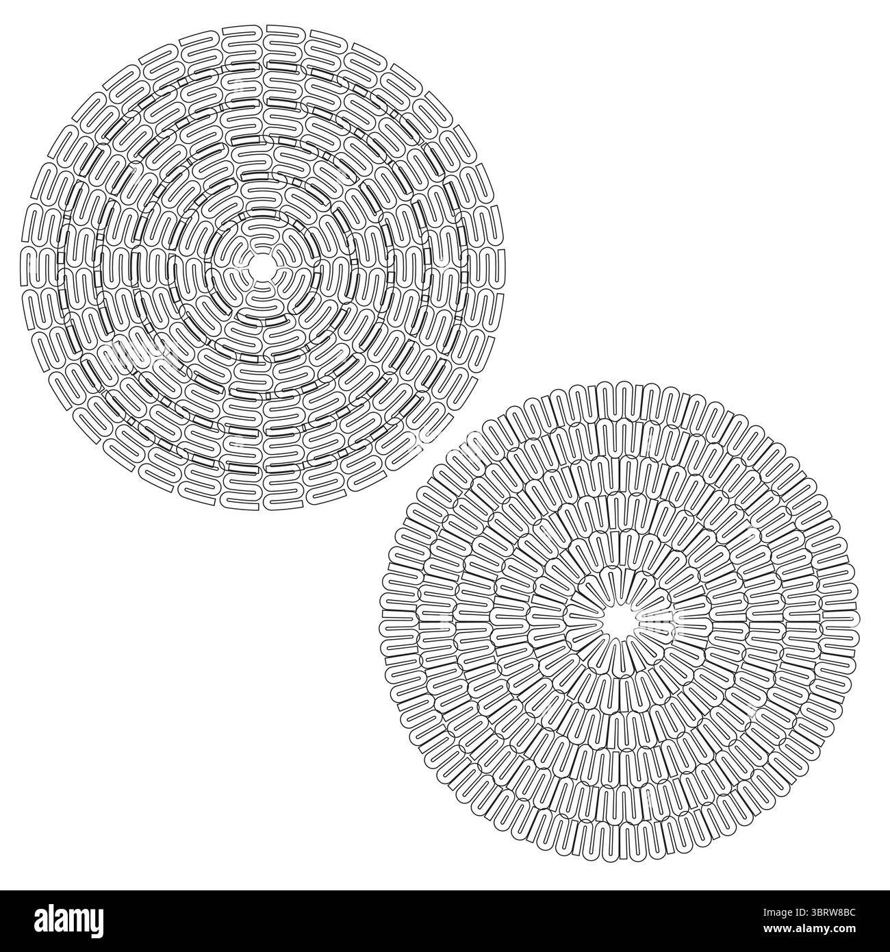 Circular segment pattern. Concentric curved shapes. Intricate Vector design. Black white ...