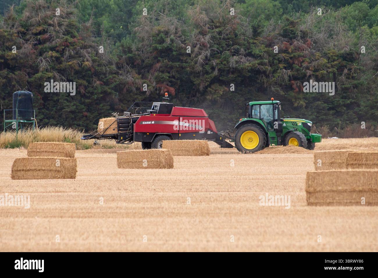 Taplow, Buckinghamshire, UK. 14th July, 2025. A farmer baling straw ...