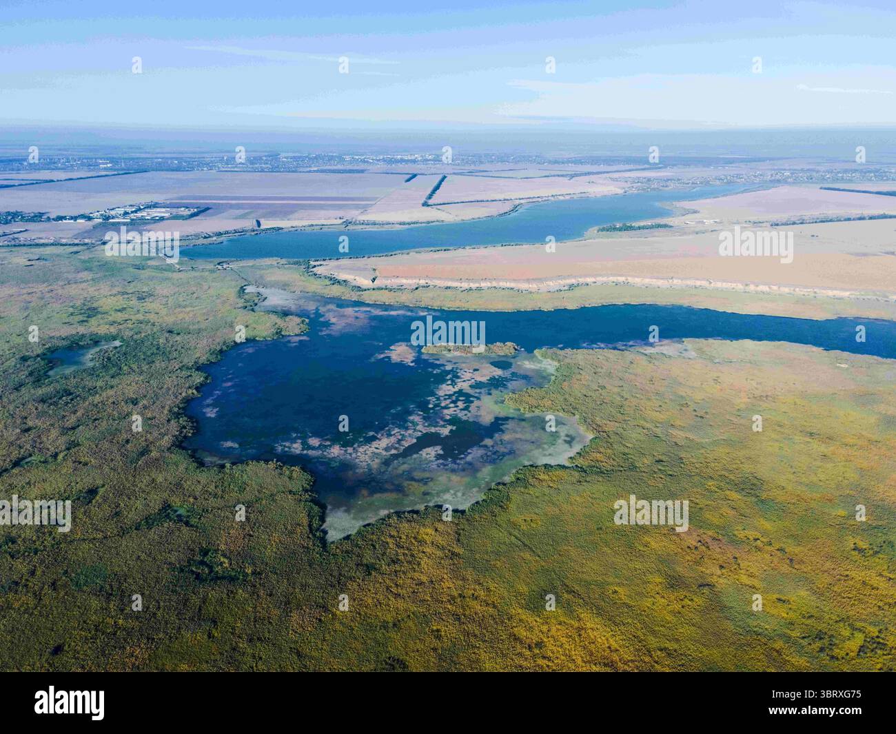Aerial view on lung hi-res stock photography and images - Alamy