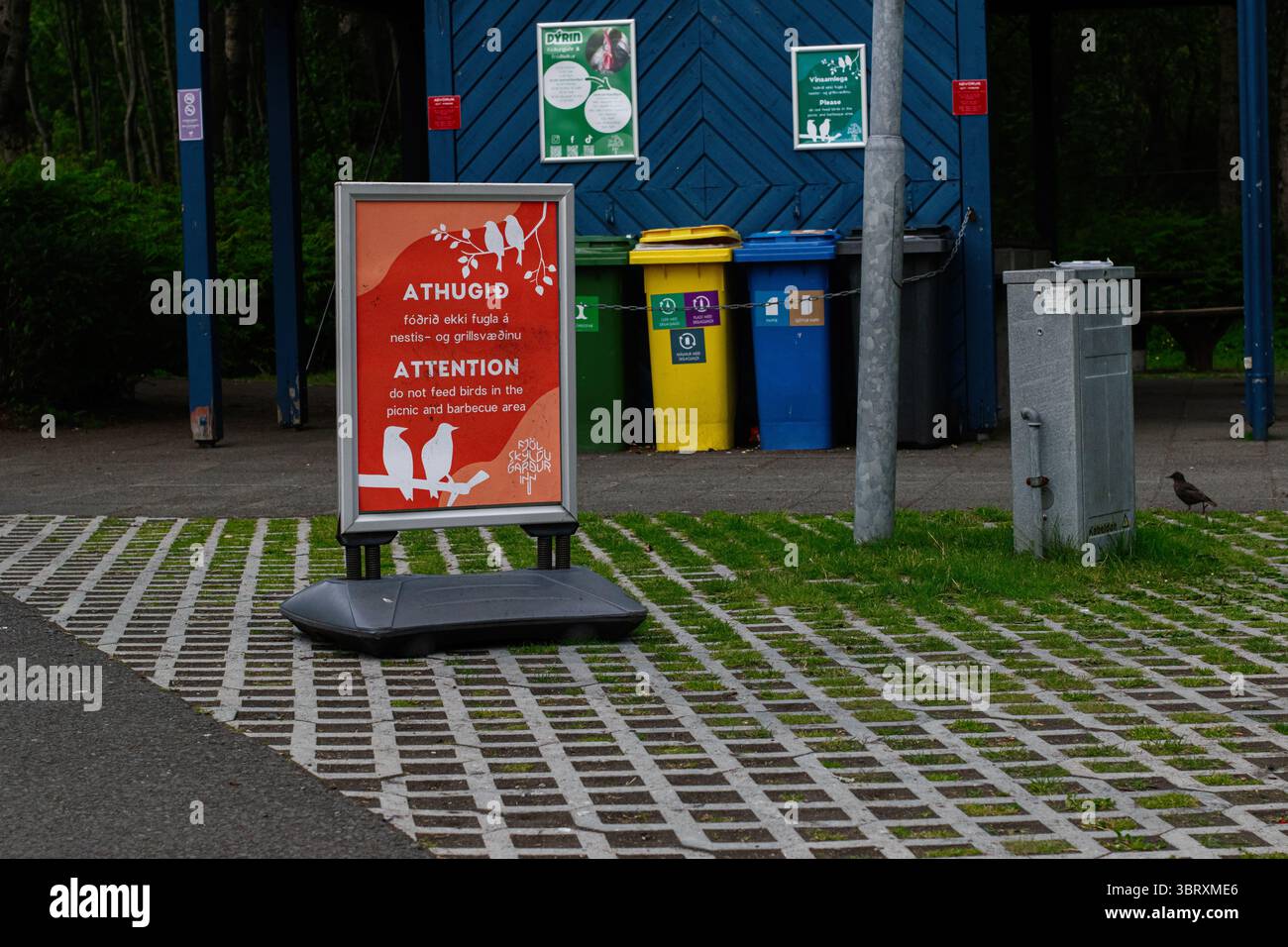 Reykjavik, Iceland - July 05, 2025: Signage in Reykjavik park ...