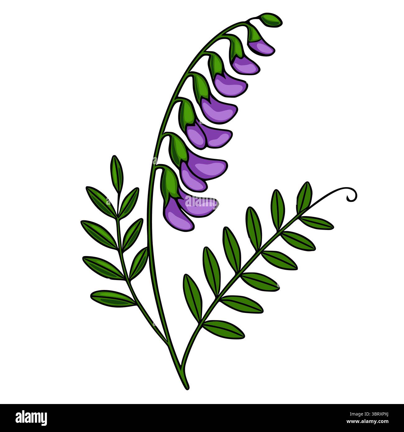 Tufted growth pattern hi-res stock photography and images - Alamy