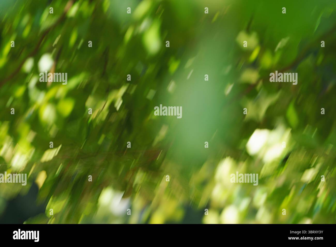 Hints of soft yellow patterns hi-res stock photography and images - Alamy