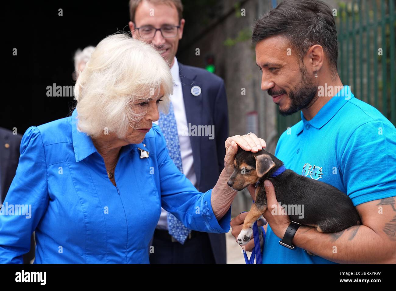 Queen Camilla, Patron of Battersea Dogs and Cats Home, meets Dipsy the ...