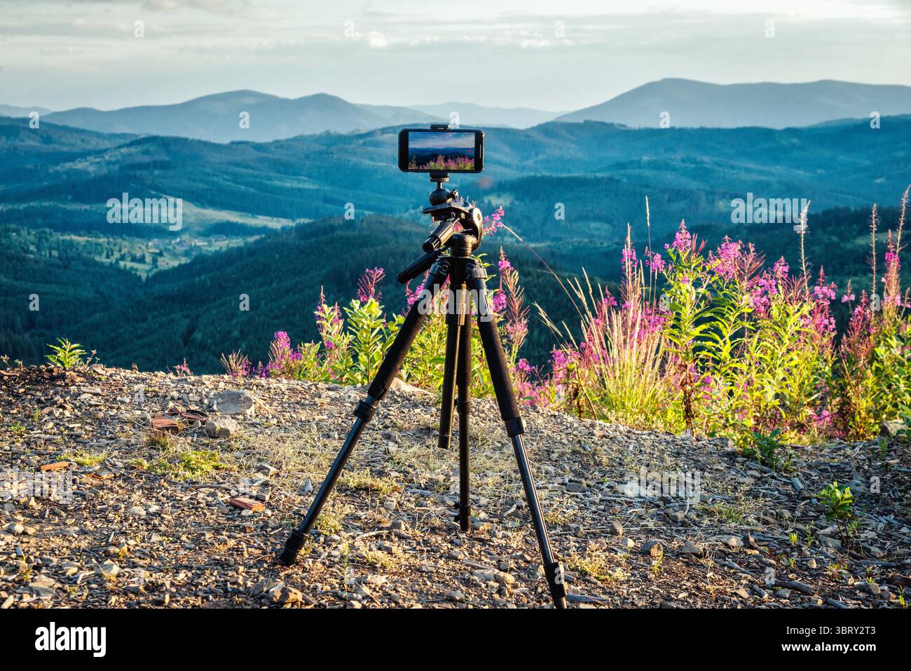 Mountain Landscape Filming with Smartphone on Tripod. Ukraine Stock ...