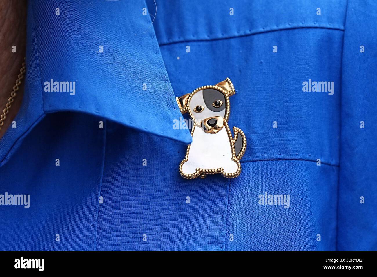 A view of a brooch worn by Queen Camilla, Patron of Battersea Dogs and ...