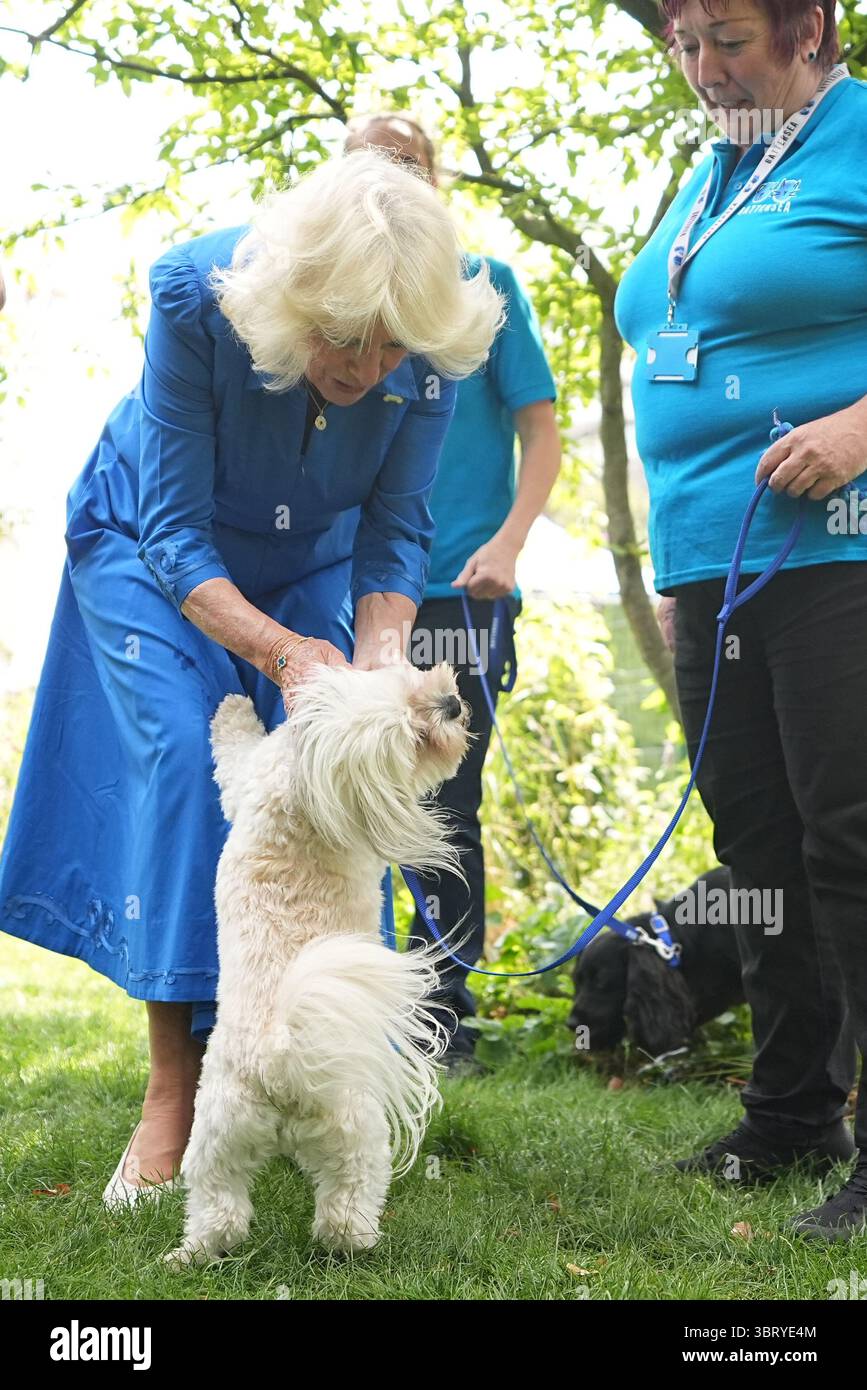 Queen Camilla, Patron of Battersea Dogs and Cats Home, meets a dog ...