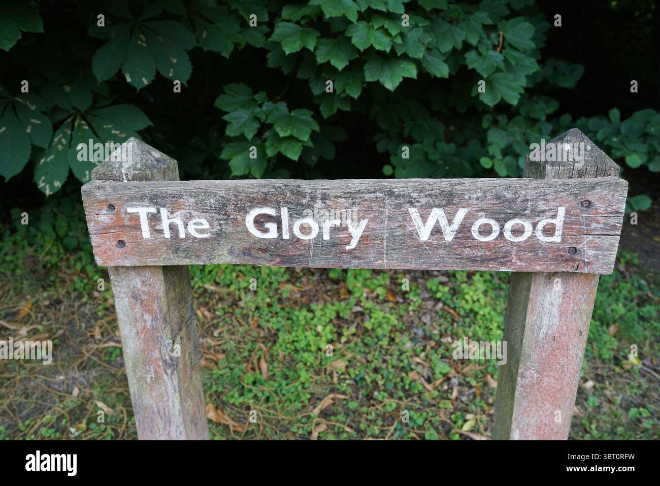 Timeless glory hi-res stock photography and images - Alamy