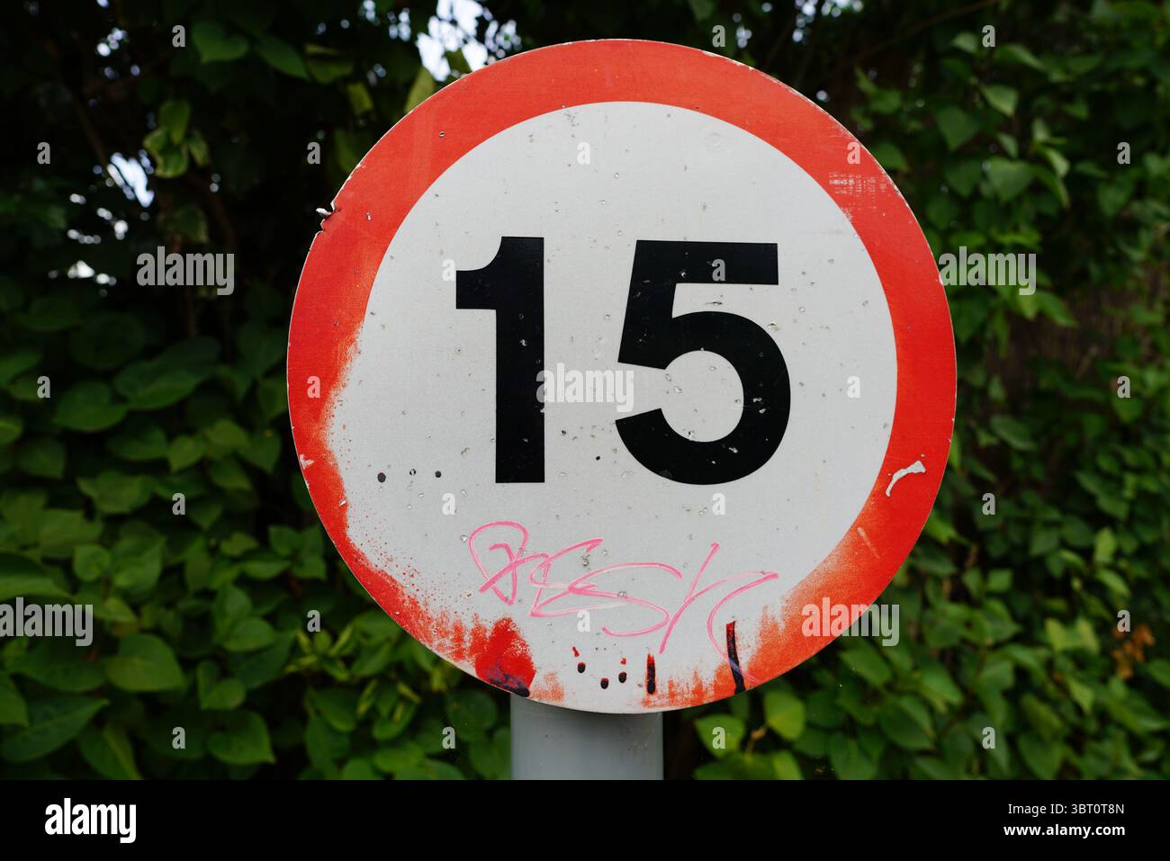 Weathered 15 MPH Speed Limit Sign with Graffiti and Green Foliage ...