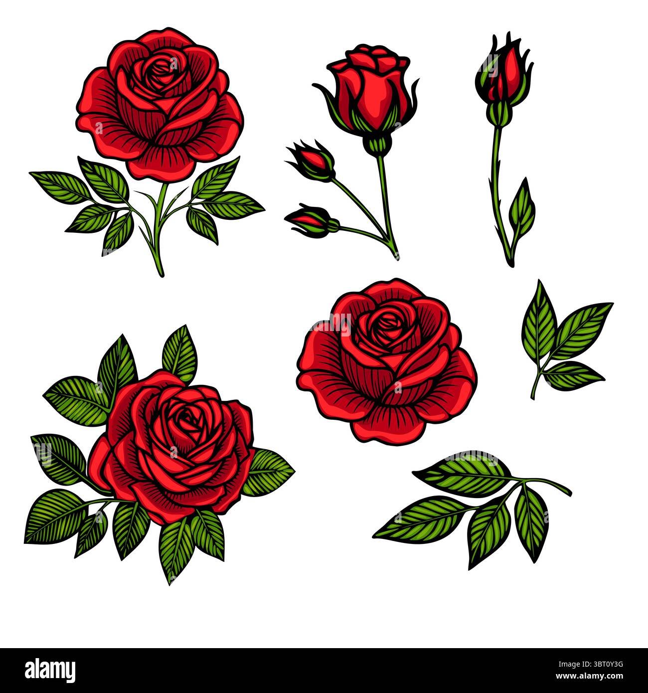 Red rose buds leaves Stock Vector Images - Alamy