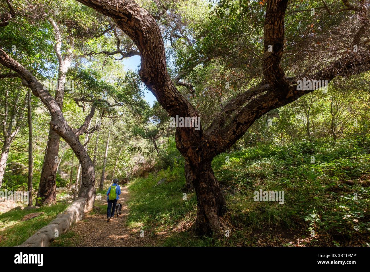 Walking the Solstice Canyon Trail in the Santa Monica Mountains ...