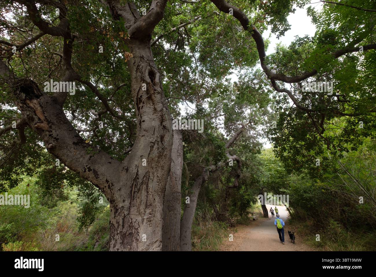 Walking the Solstice Canyon Trail in the Santa Monica Mountains ...