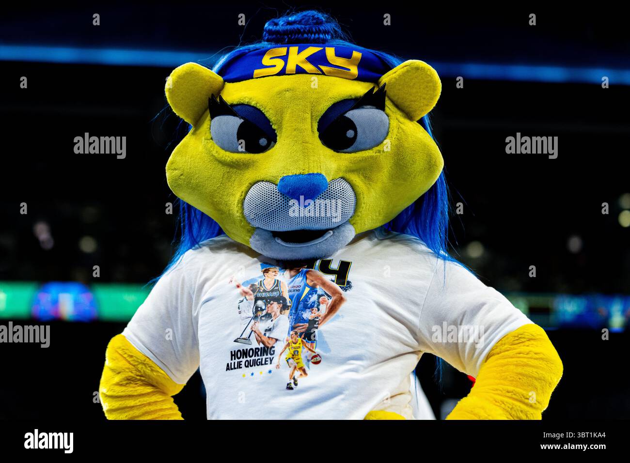 Skye the Lioness poses for the camera during the WNBA regular season ...