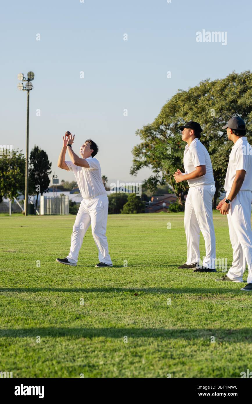Diverse male teammates catching and watching cricket ball on cricket ...