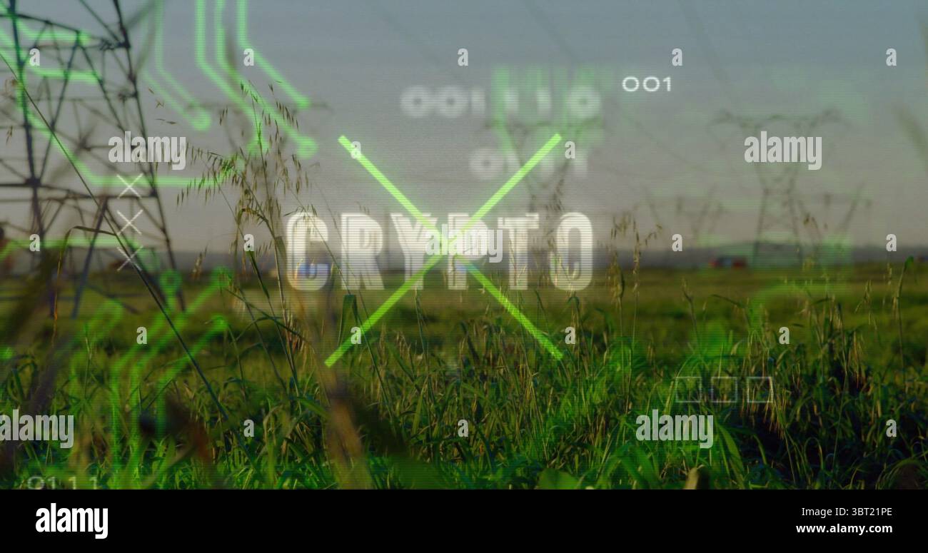 Digital overlay floating above green hi-res stock photography and ...