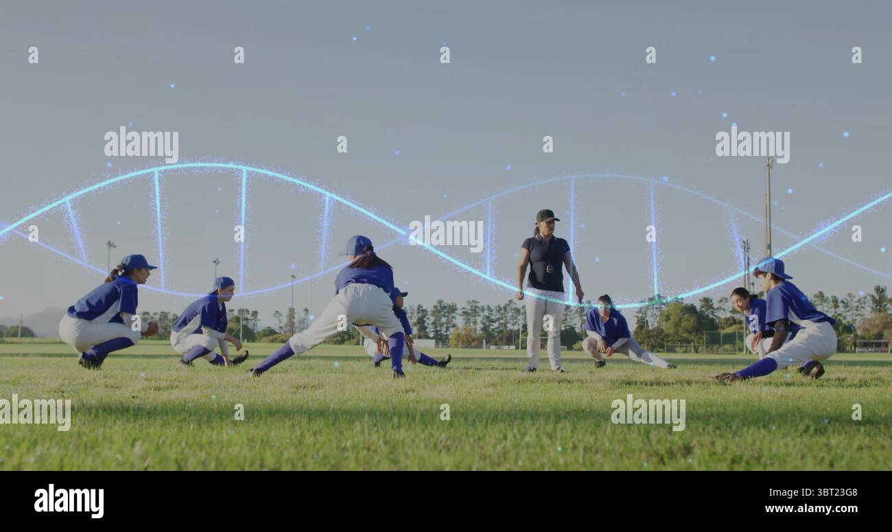 Stretching coach and blue-jersey players lunging on baseball field ...