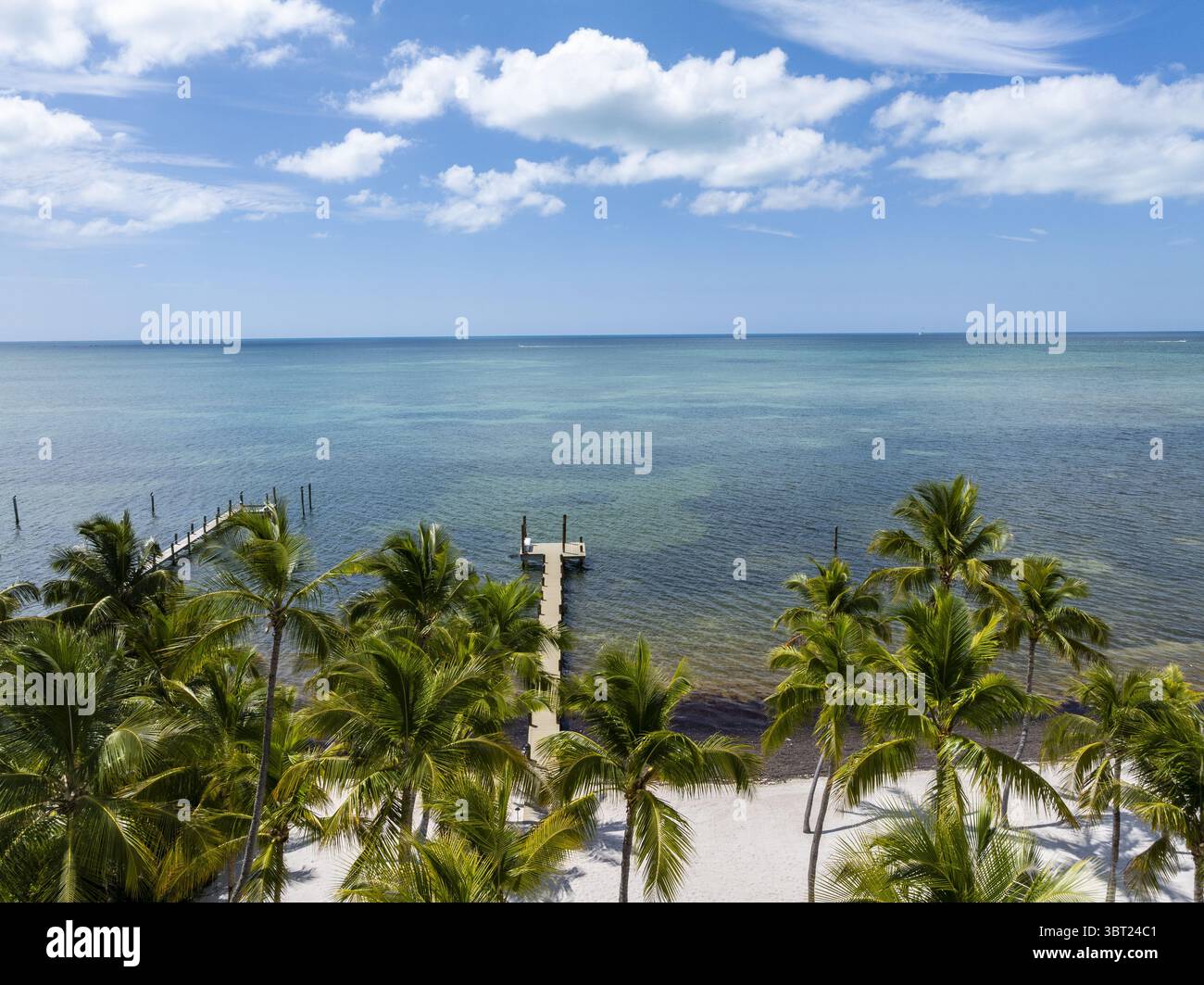Aerial view of turquoise waters meet the sandy shore, where palm trees ...