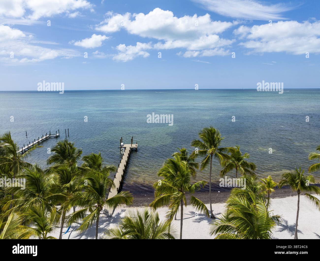 Aerial view of palm trees lining the white sandy beach meeting the ...