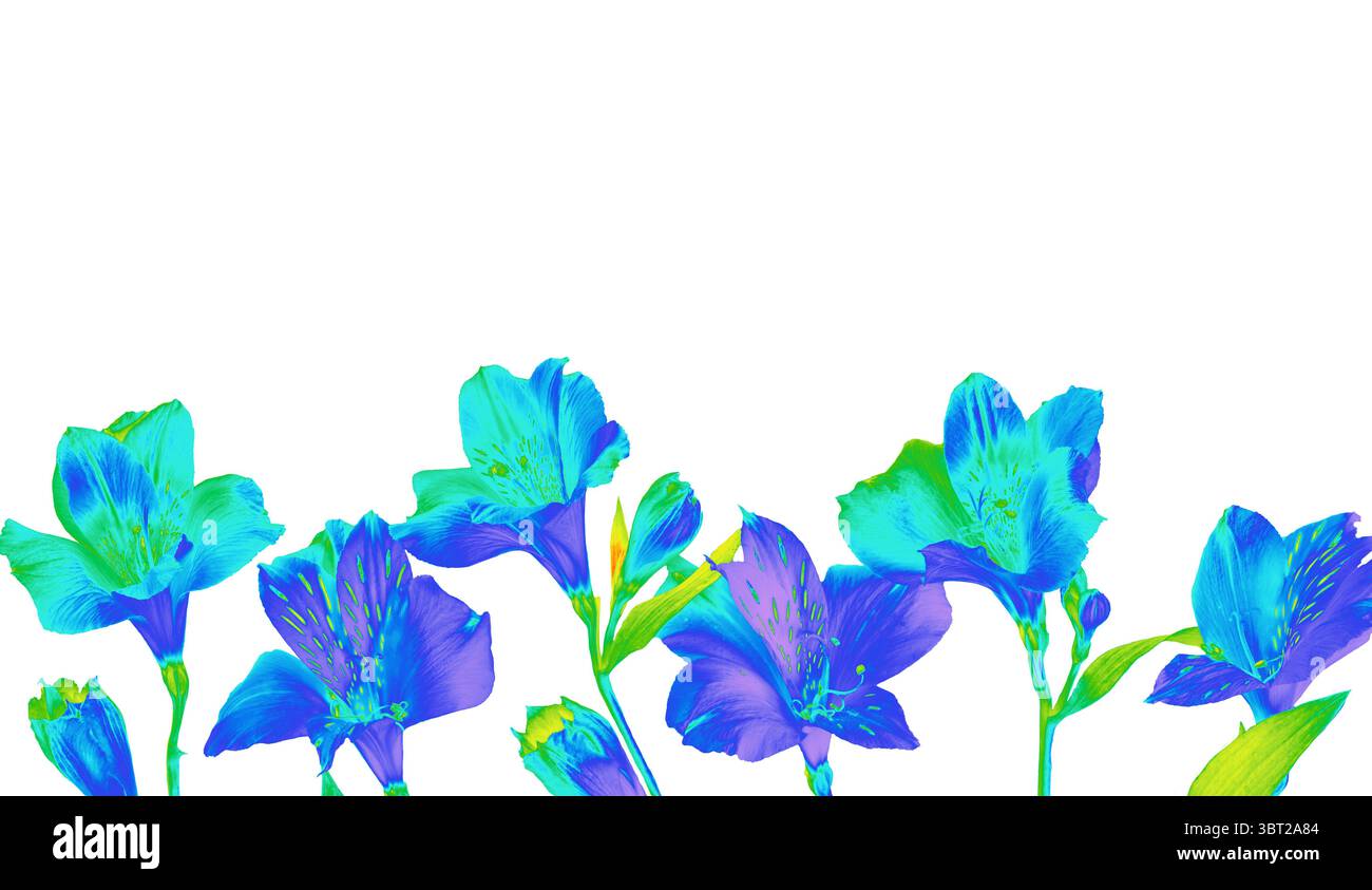 Design creative visual trendy Cut Out Stock Images & Pictures - Alamy