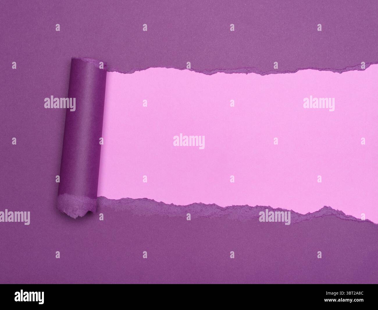 A piece of purple paper is torn to reveal a lighter pink layer ...