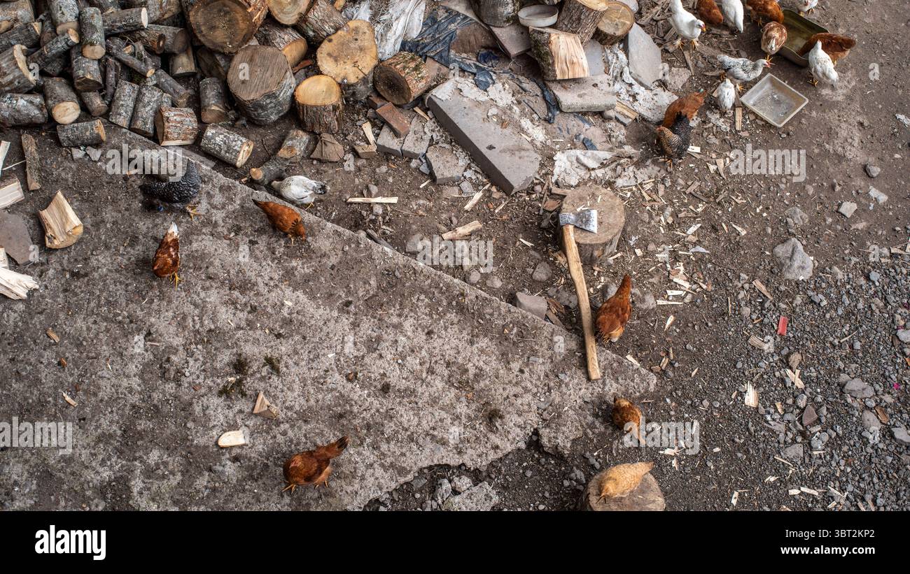 Life on the border hi-res stock photography and images - Alamy
