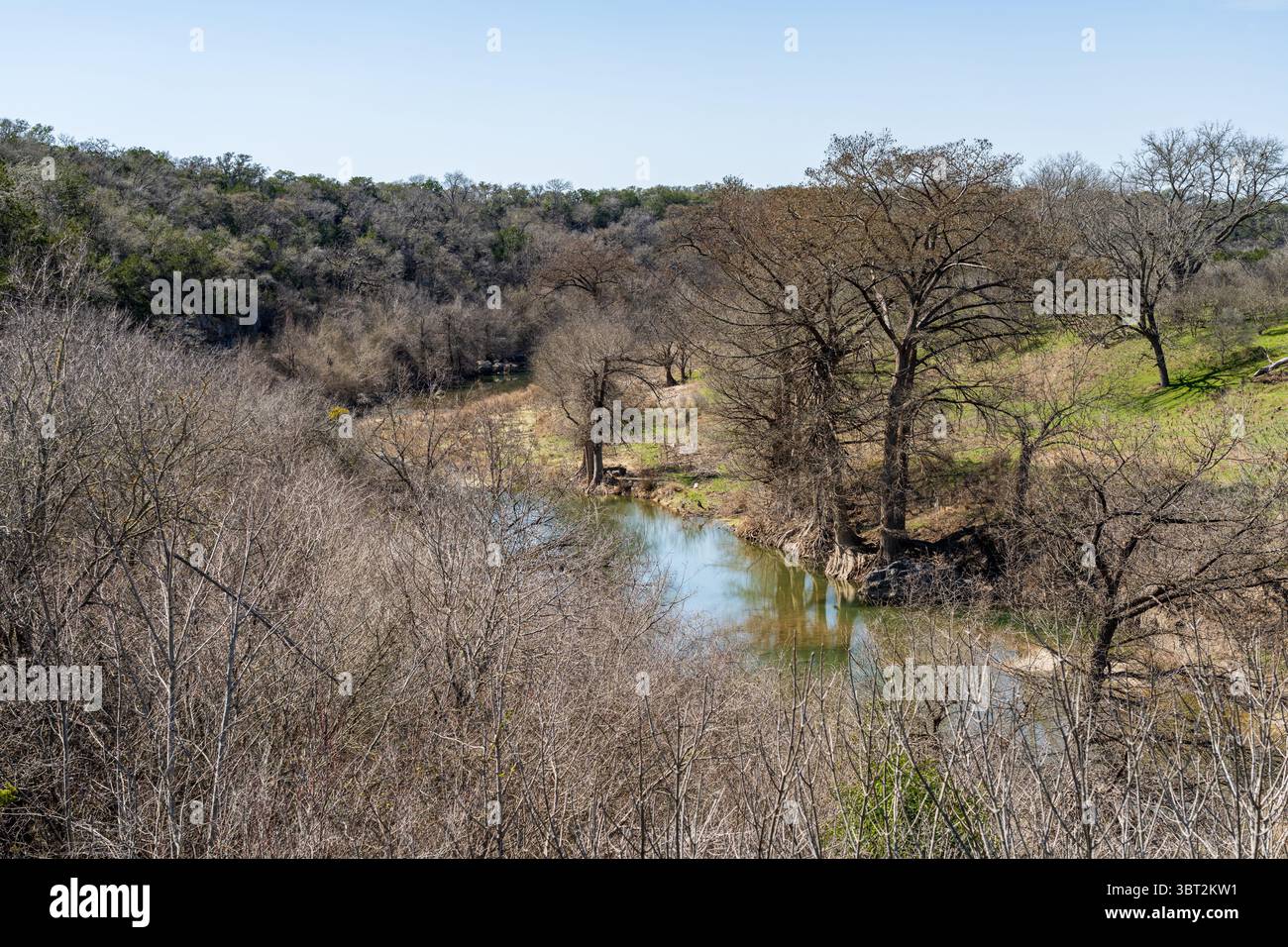 The Guadalupe River State Park in late winter by the river in a scenic ...