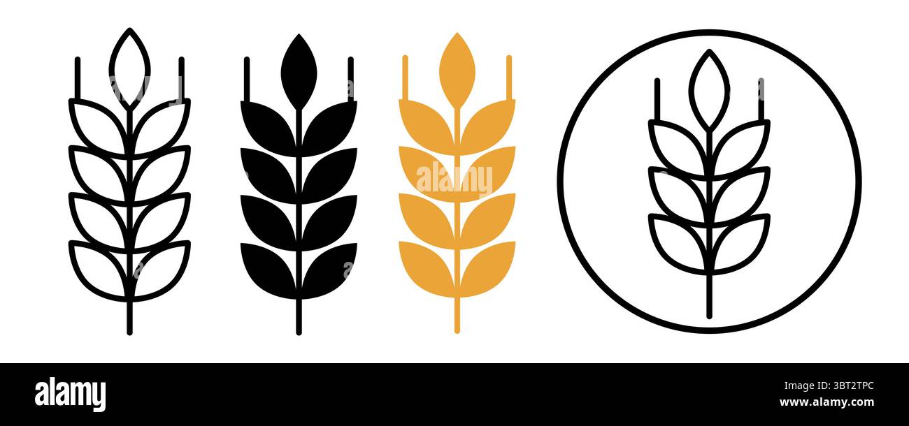 Wheat or barley icon set. Grain symbol. Vector illustration Stock ...