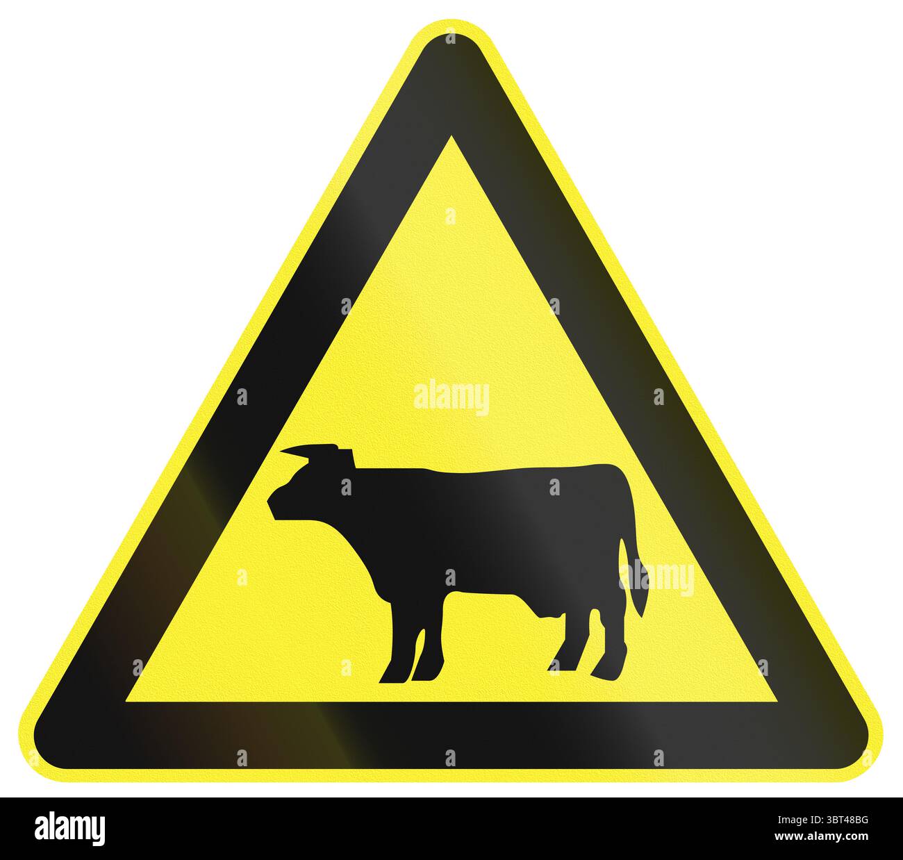 Warning road sign in China - Beware of livestock Stock Photo - Alamy