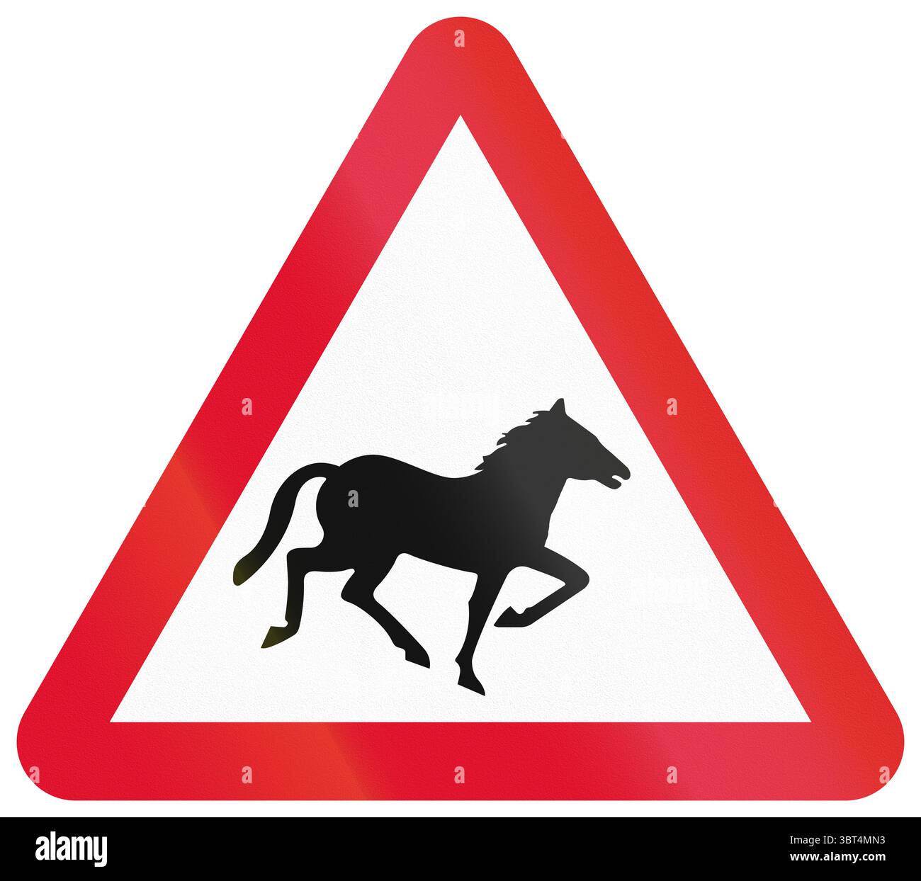 Hong kong silhouette horse hi-res stock photography and images - Alamy