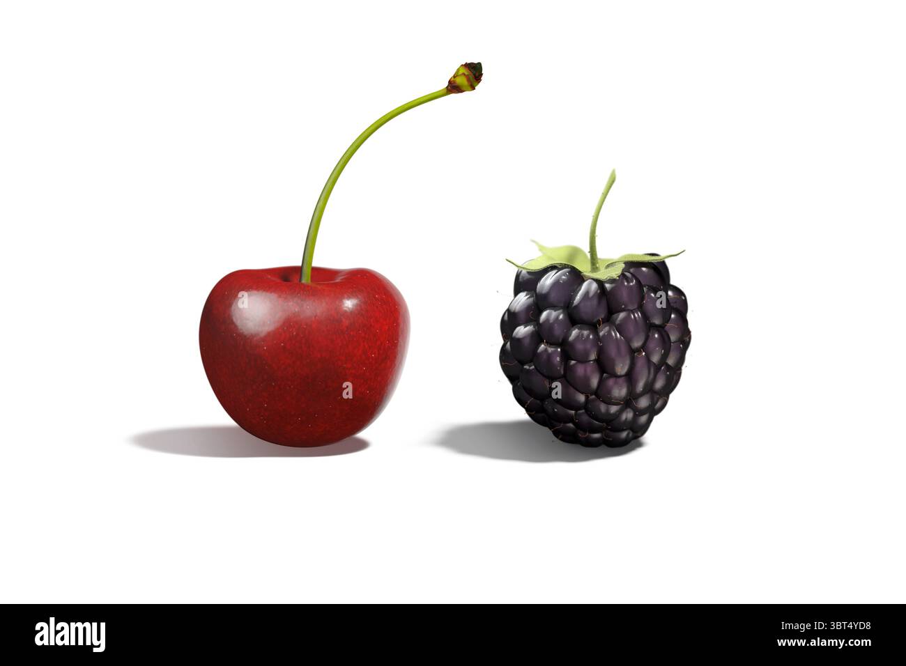 Cherry and blackberry mockup set, front view, isolated Stock Photo - Alamy