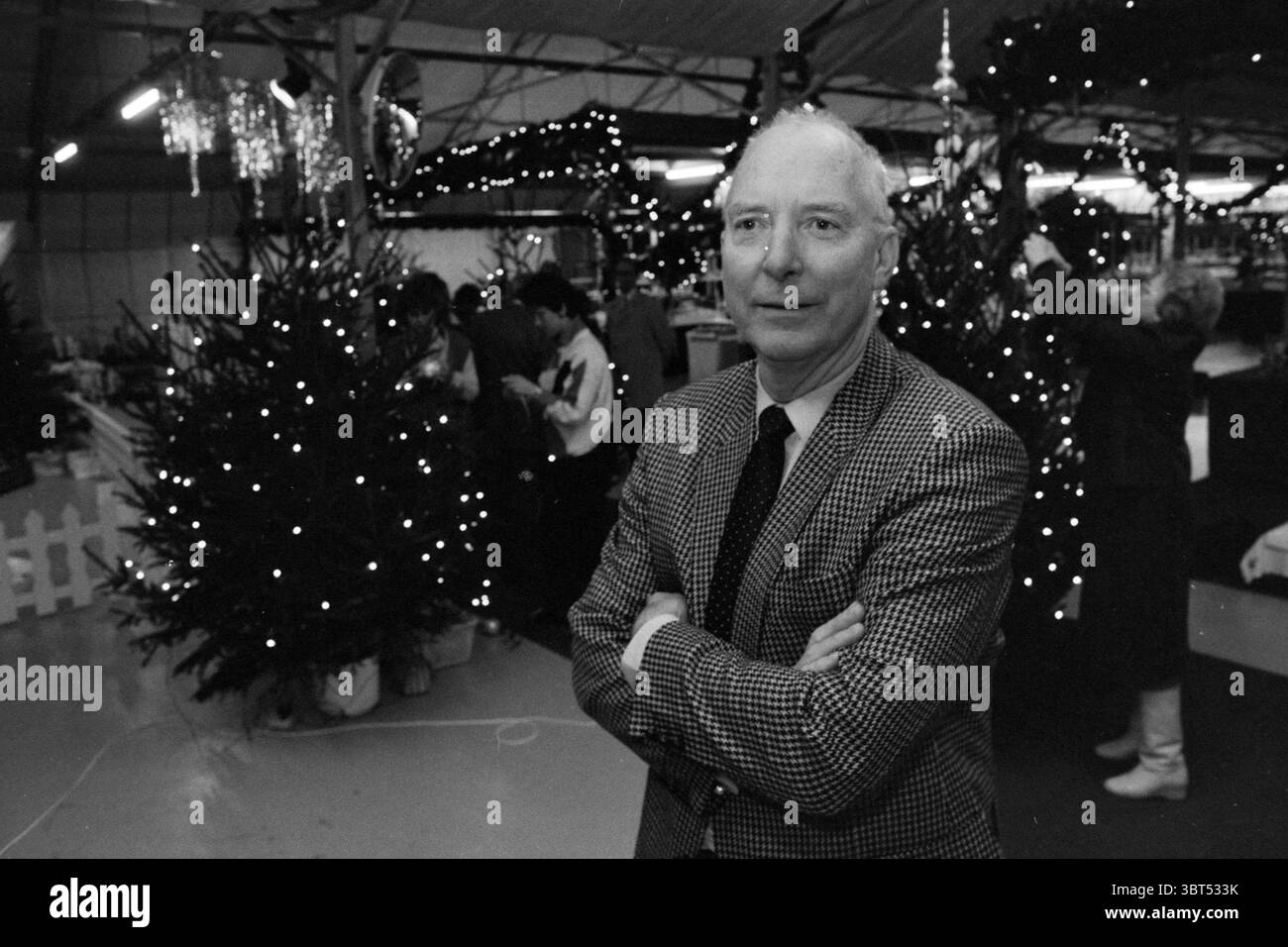 Decorating a Christmas tree by the women mayor in the region and ...