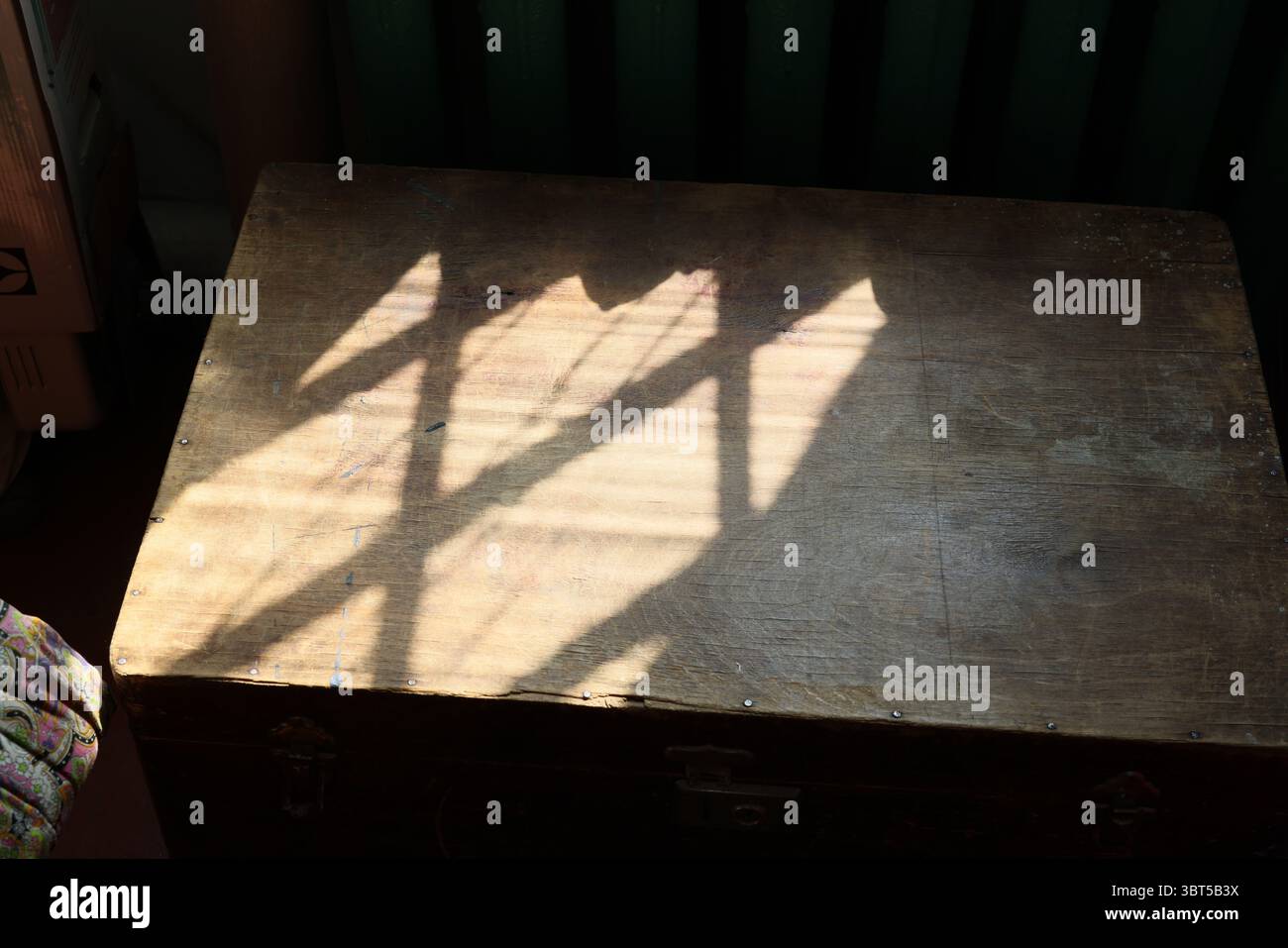 Sunlight creates beautiful patterns on wood, enhancing its visual ...