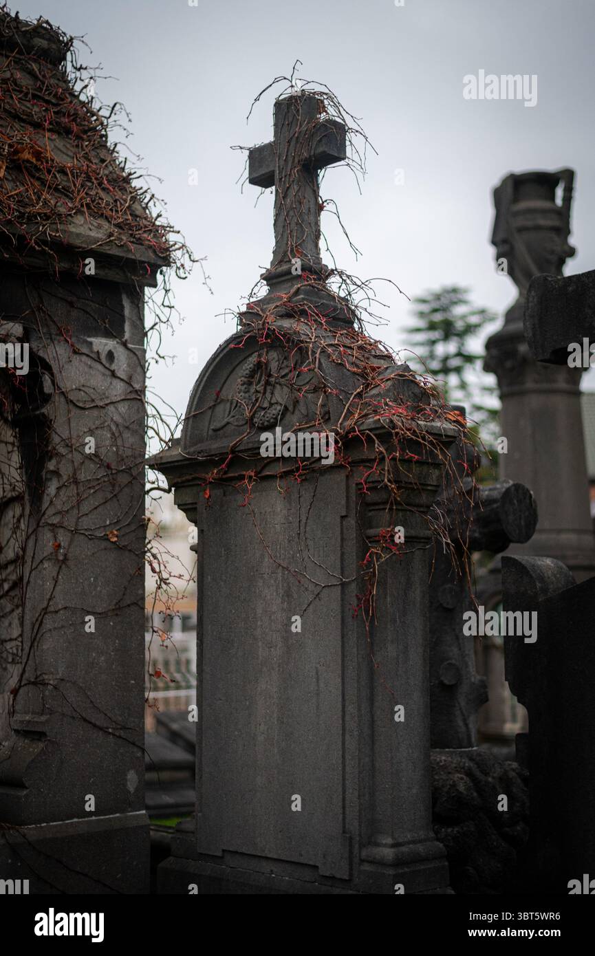 Ancient cemetery tombs and grave stones on Campo Santo historical old ...