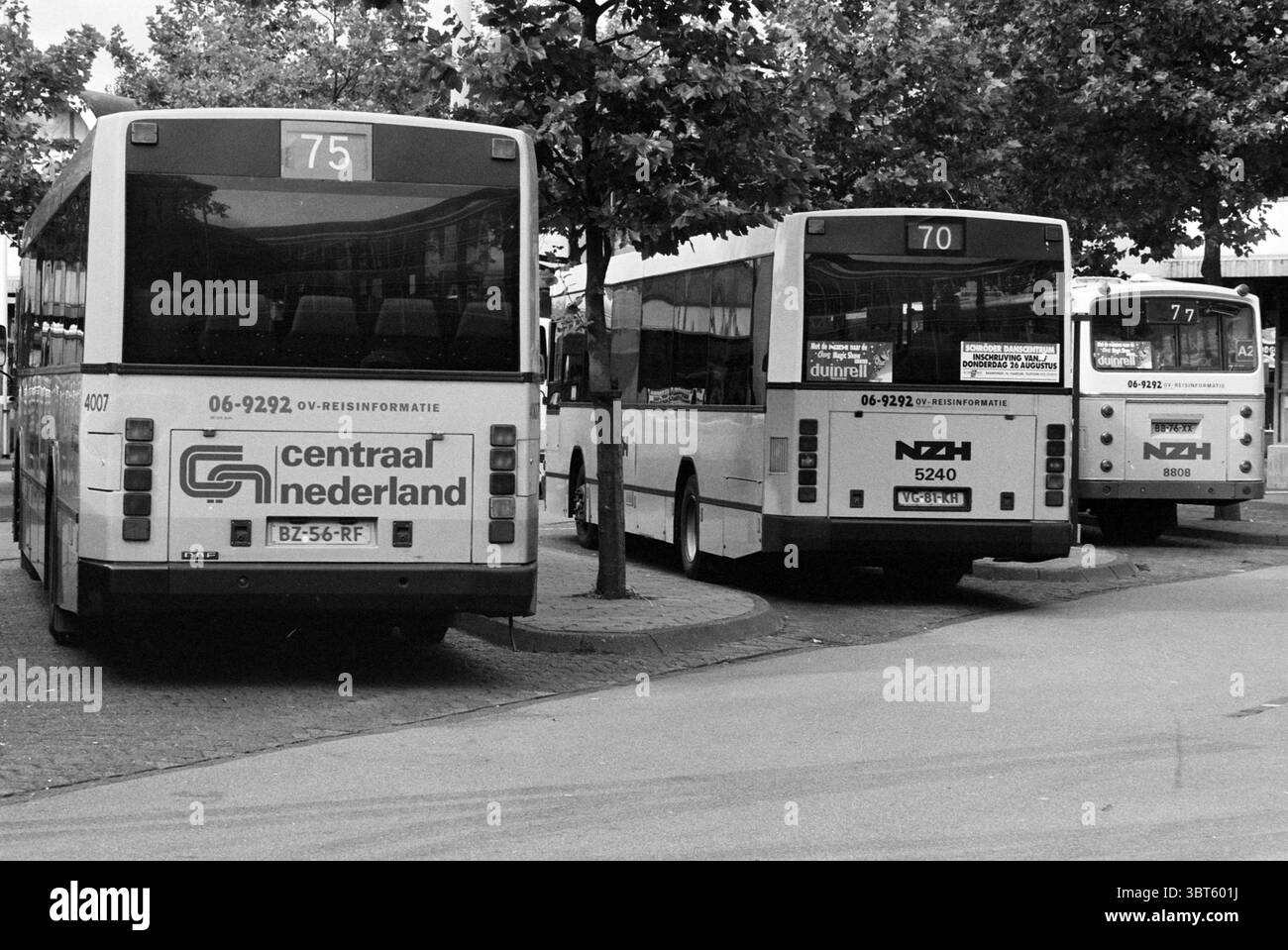 Buses NZH and Central Netherlands, Whizgle News, Dutch Desk, The ...
