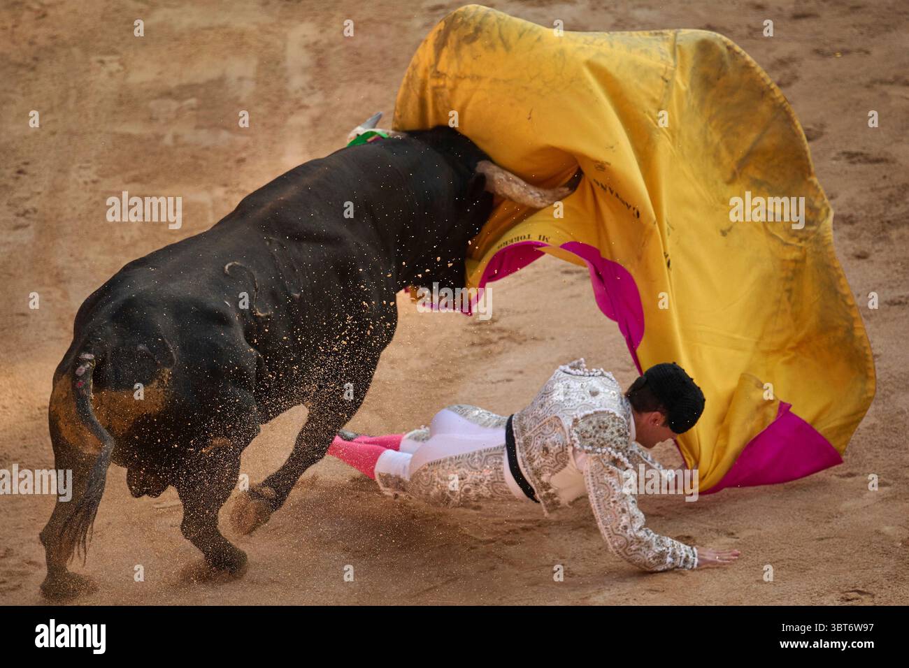 Spanish bullfighter Damian Castaño falls during a bullfight at the San ...