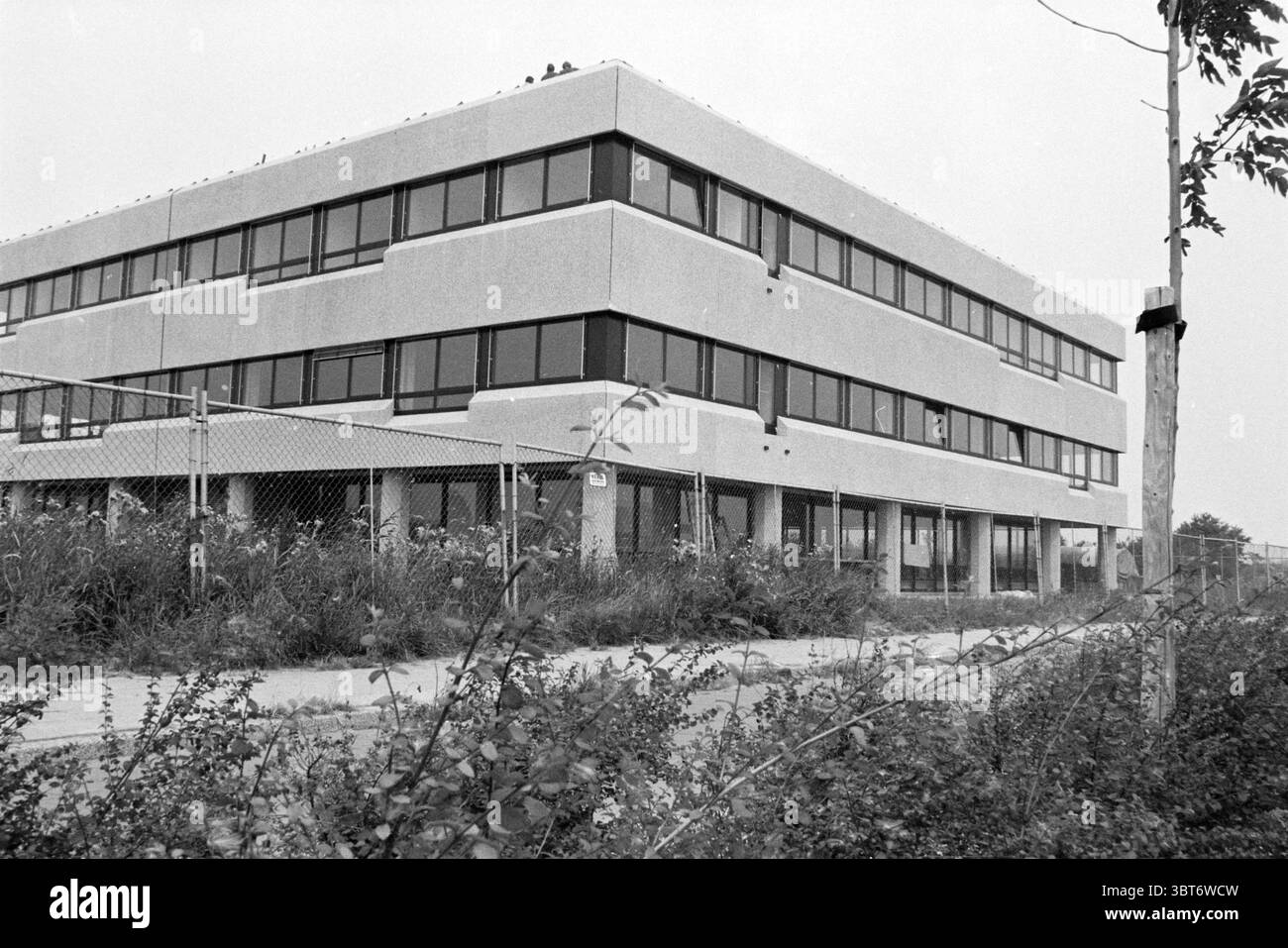 Boxy appearance hi-res stock photography and images - Alamy